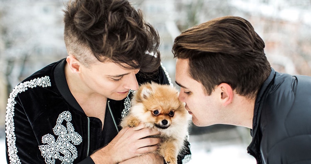 Modeikonen Dennis Maglić köpte Pomeranian – en Indy dotter | Sveriges ...